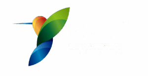 SQT Bio Microneedling USA | Advanced Skincare Solutions